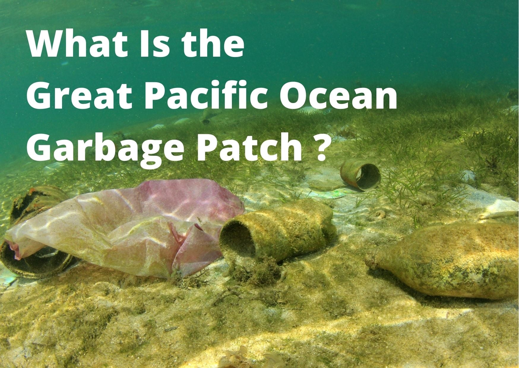 Great Pacific Garbage Patch Underwater